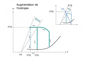 La relation pression-volume – Echocardioblog